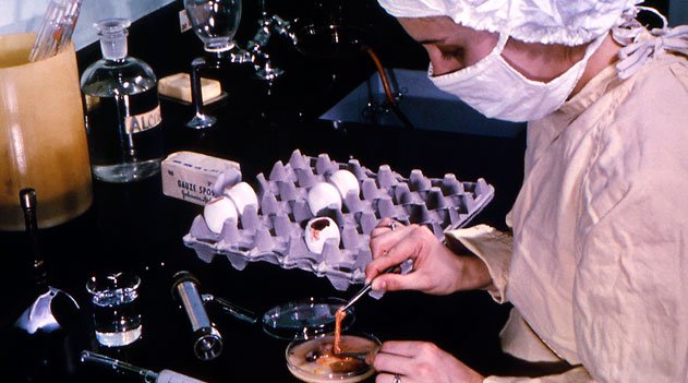 As Maiores Descobertas Da História Da Biologia Documentário Biólogo