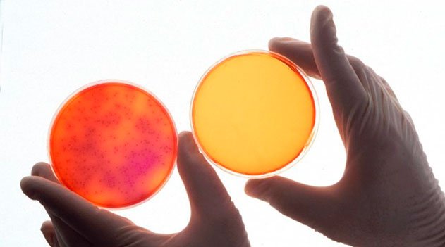 Coisas Loucas Da Biologia Curiosidades Interessantes Biólogo