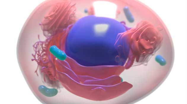 Documentário Célula 3D: Material didático de Biologia Celular - Biólogo