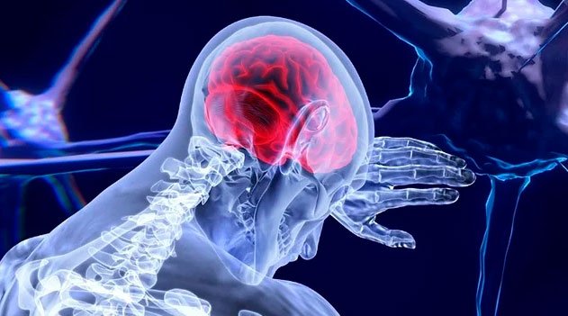 Pioneiros Da Biologia Grandes Biólogos História Biólogo